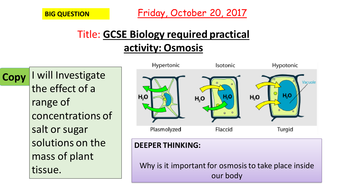 AQA new specification-REQUIRED PRACTICAL 3-Osmosis-B1 | Teaching Resources