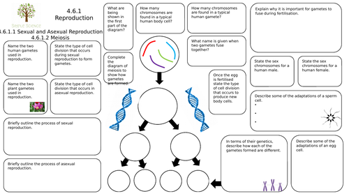 Home Learning Revision - Asexual and Sexual, Meiosis & DNA - AQA ...