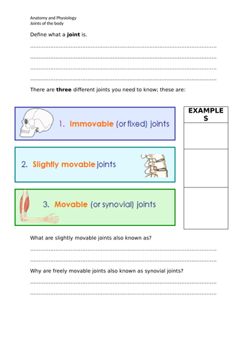 GCSE PE Skeleton and Joints, lesson plans and matching worksheets for ...