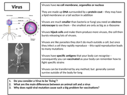 AQA Pathogen transfer and types of pathogen lessons | Teaching Resources