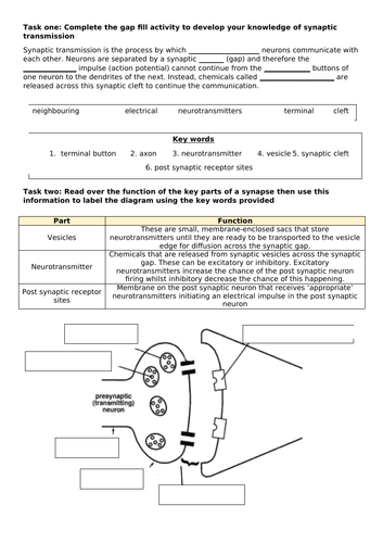 AQA Psycholgoy (9-1) - Neuropsychology - Synaptic transmission ...
