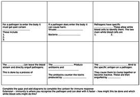 AQA White blood cells and Immune Response | Teaching Resources