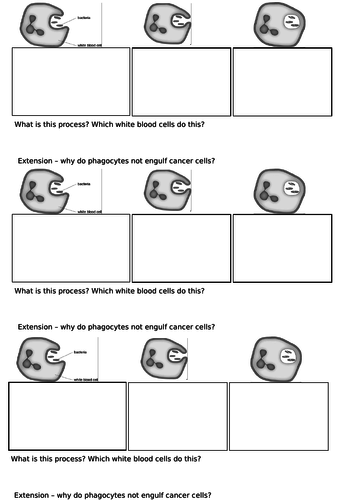 AQA White blood cells and Immune Response | Teaching Resources