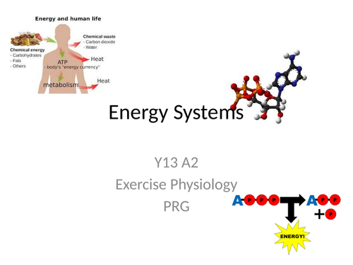 OCR A-level Exercise Physiology Energy Systems | Teaching Resources