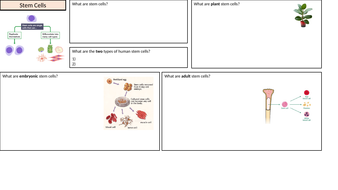 Stem Cells AQA Combined GCSE | Teaching Resources
