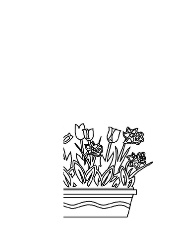 Year 2 Science Whole Year Medium Term Plans | Teaching Resources