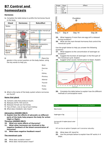 Biology edexcel CB7 control and homeostasis revision overview and cheat ...