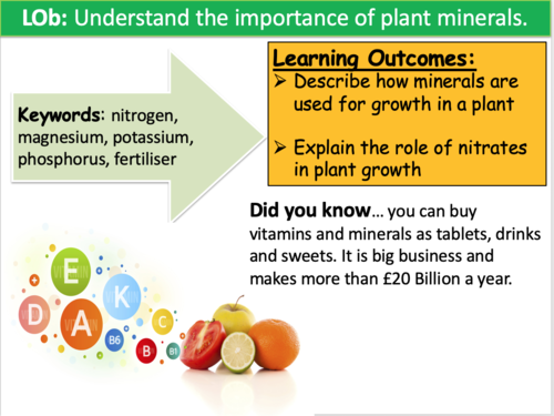 Plant Minerals | Teaching Resources