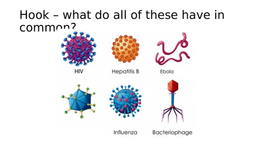 Viral diseases AQA new spec | Teaching Resources