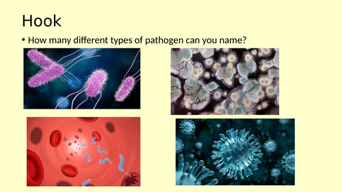Bacteria, Fungi and Protists AQA Trilogy new spec | Teaching Resources