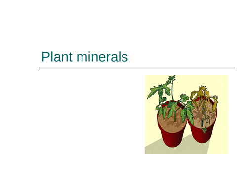 plant minerals new spec | Teaching Resources