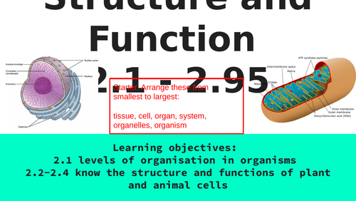 Cell Structure, Function and Cell Transport iGCSE 9-1 Biology ...