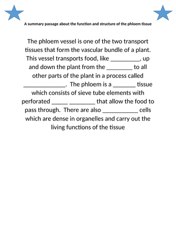 Xylem And Phloem Reading Worksheets Spelling Grammar