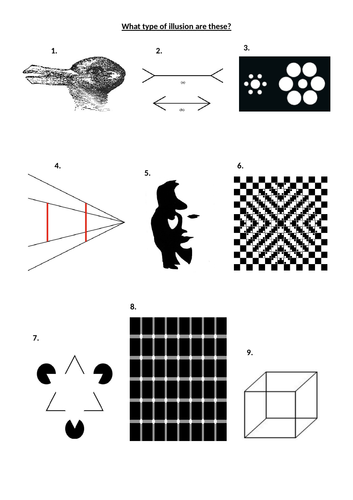 Illusions in Perception AQA GCSE NEW SPEC | Teaching Resources
