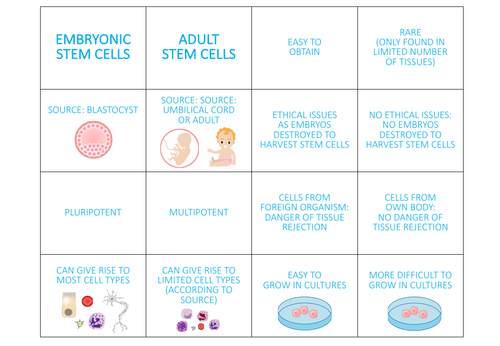 Stem Cells - Card Sort (KS4/5) | Teaching Resources