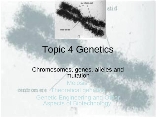 IB Biology Genetics Powerpoint | Teaching Resources