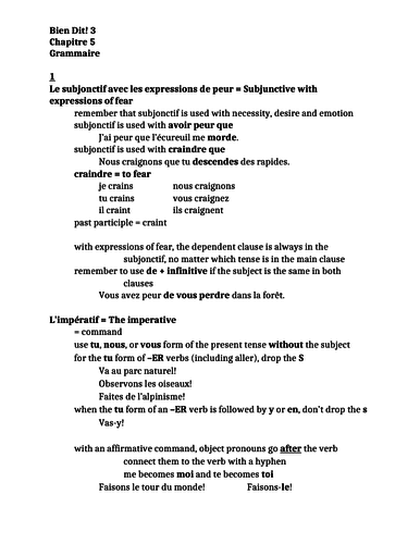 Bien Dit 3 Chapitre 5 Grammaire Study guide | Teaching Resources
