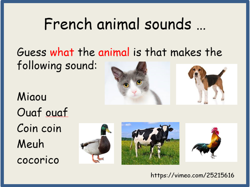 European Day of Languages | Teaching Resources