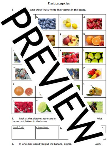 Fruit Fruits Food Nutrition or ESL | Teaching Resources