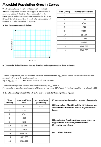 A Level Biology Maths Skills - Logarithims Worskheet and Answers ...
