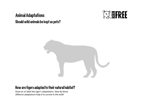 Animal Adaptations - Should Wild Animals Be Kept As Pets? | Teaching ...