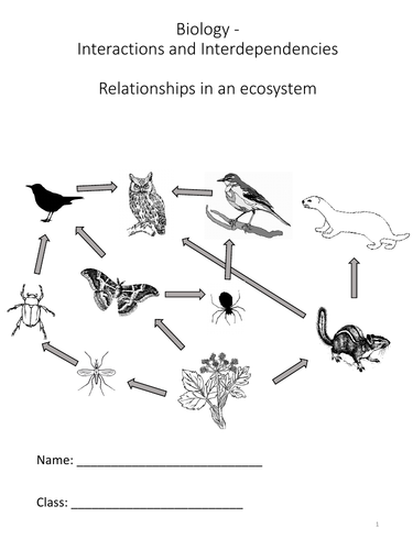 Biology - Relationships in an ecosystem - Complete Science Key Stage 3 ...
