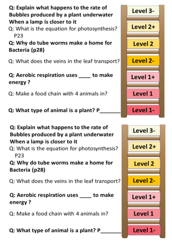 Disruption to Food Chains and Webs | Teaching Resources