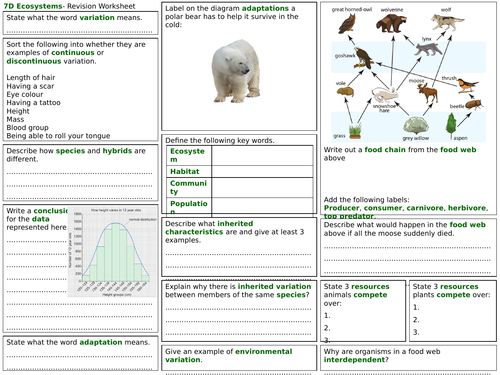 Exploring Science Year 7- Revision Worksheets | Teaching Resources