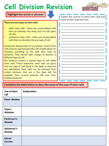 A Level Biology Cell Division Revision Workbook | Teaching Resources