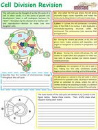 A Level Biology Cell Division Revision Workbook | Teaching Resources