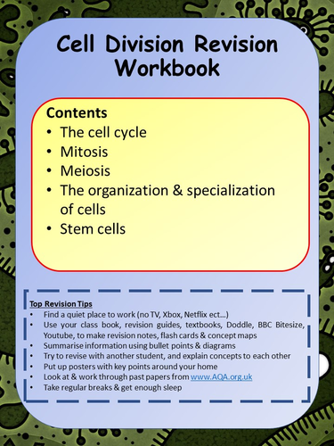 A Level Biology Cell Division Revision Workbook | Teaching Resources