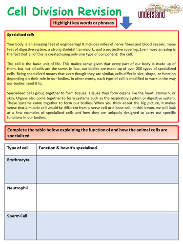 A Level Biology Cell Division Revision Workbook | Teaching Resources