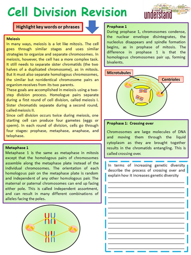 A Level Biology Cell Division Revision Workbook | Teaching Resources