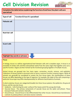 A Level Biology Cell Division Revision Workbook | Teaching Resources