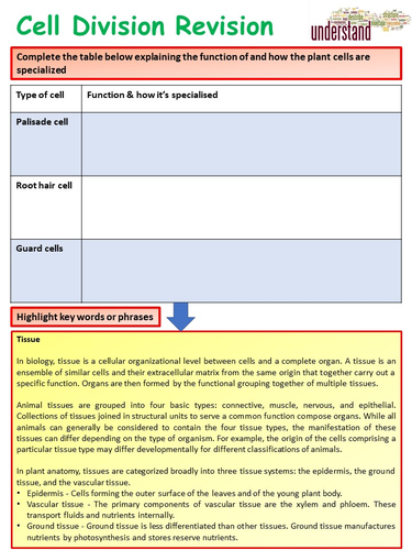 A Level Biology Cell Division Revision Workbook | Teaching Resources