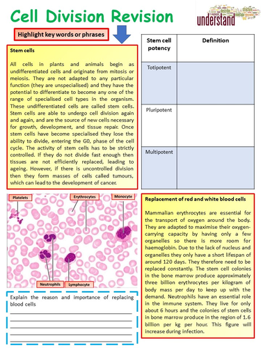 A Level Biology Cell Division Revision Workbook | Teaching Resources