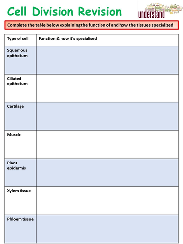 A Level Biology Cell Division Revision Workbook | Teaching Resources