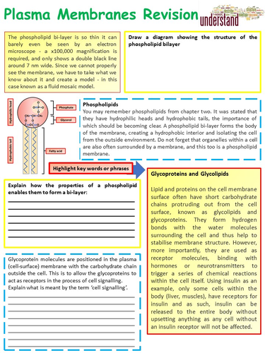 A Level Biology Cell Membrane Revision Workbook | Teaching Resources