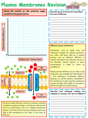 A Level Biology Cell Membrane Revision Workbook | Teaching Resources
