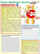 A Level Biology Cell Membrane Revision Workbook | Teaching Resources