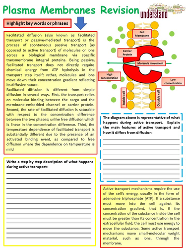 A Level Biology Cell Membrane Revision Workbook | Teaching Resources