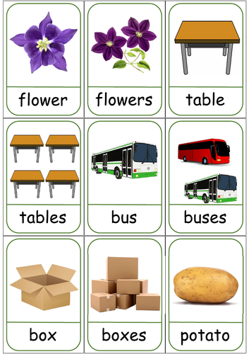 Plurals flashcards | Teaching Resources