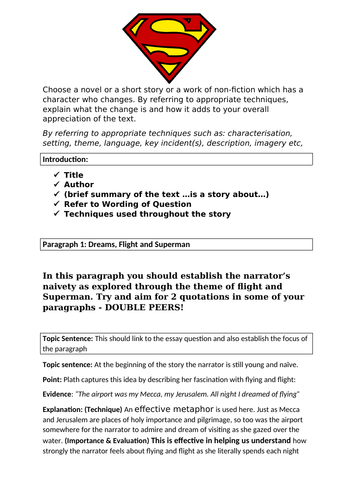 Superman and Paula Brown's New Snowsuit, Critical Essay Plan and ...