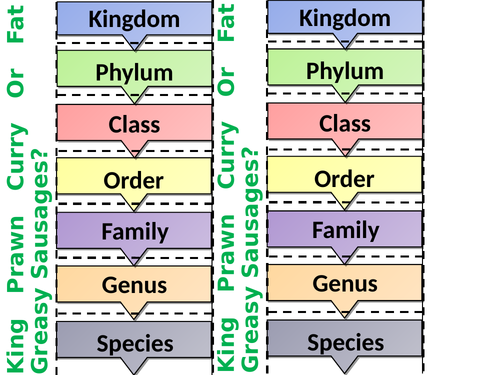 AQA GCSE Biology (Science) Ecology: Classification Lesson | Teaching ... AQA GCSE Biology (Science) Ecology: Classification Lesson | Teaching ...