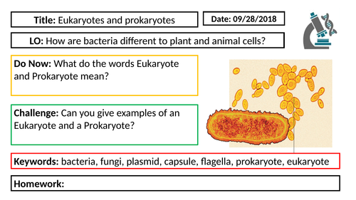 AQA GCSE Biology New Specification - B1 Eukaryotes and Prokaryotes ...