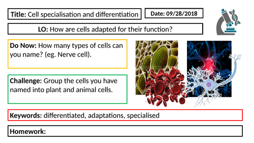 AQA GCSE Biology New Specification - B1 Cell specialisation and ...