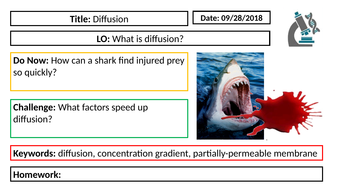 AQA GCSE Biology New Specification - B1 Diffusion | Teaching Resources