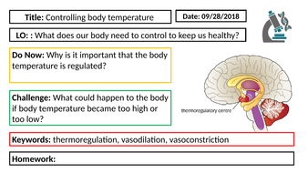 AQA GCSE Biology New Specification - B5 Controlling body temperature ...