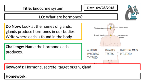 AQA GCSE Biology New Specification - B5 The endocrine system | Teaching ...