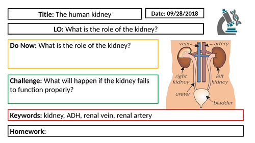 AQA GCSE Biology New Specification - B5 The Kidney | Teaching Resources